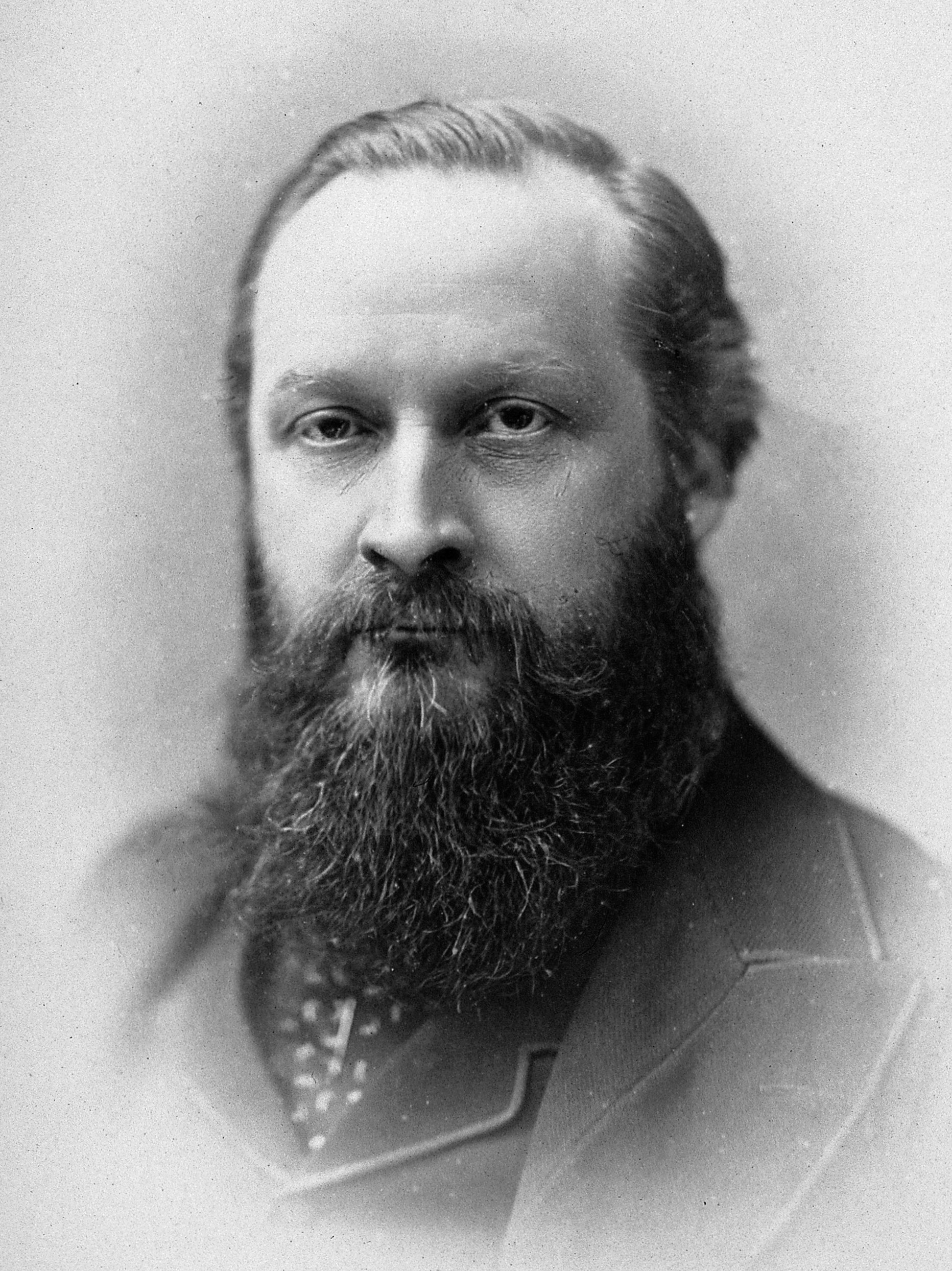 Frases de Henry Maudsley | Frases de famosos